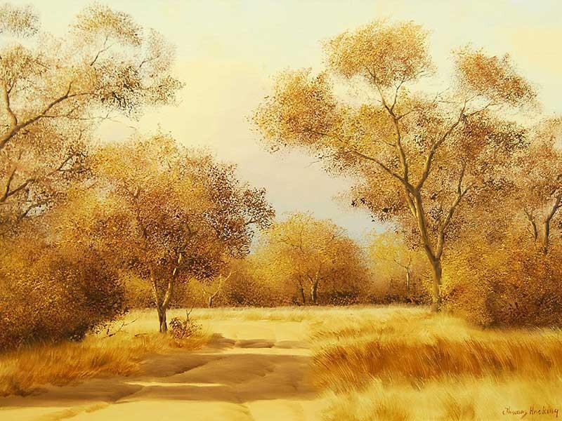 Thomas Hacking | Bushveld Country Road | MutualArt