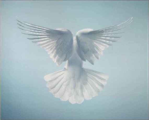 Timothy Flach | 22 Artworks at Auction | MutualArt