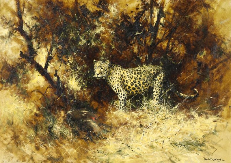 David Shepherd | Leopard and kill (1962) | MutualArt