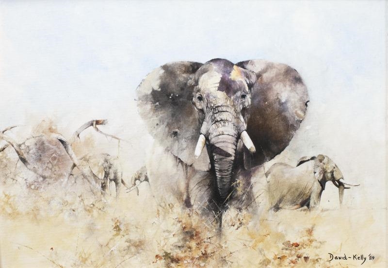 David Kelly Young