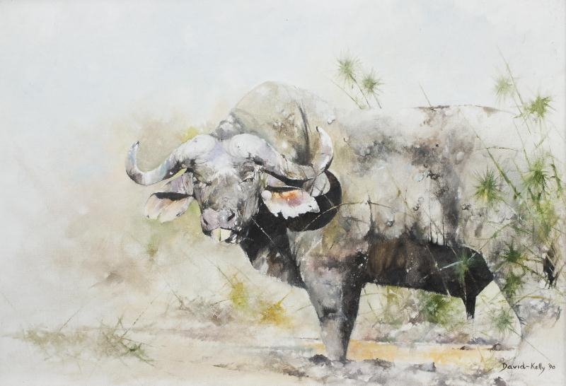 David Kelly | A water buffalo | MutualArt