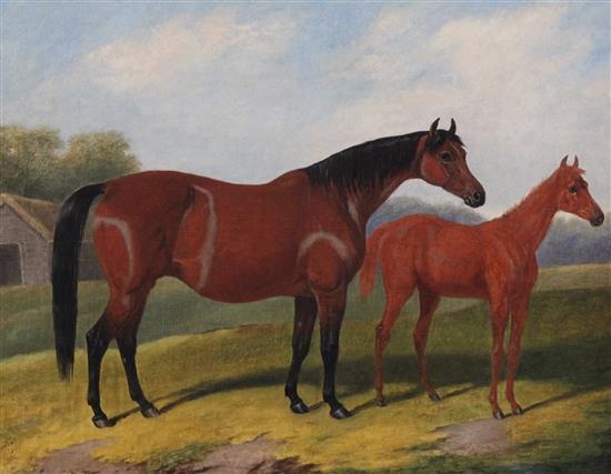 Edith Corbet | Study of a chestnut mare and foal (1861) | MutualArt
