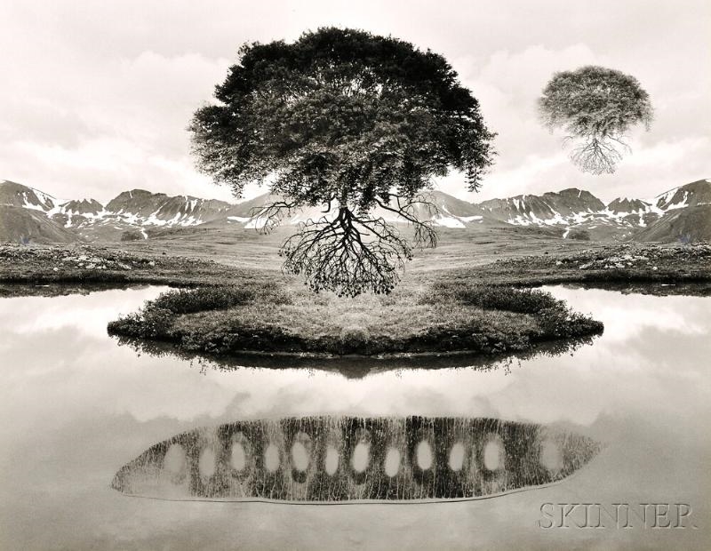 Jerry Uelsmann | Untitled (Floating Tree) (1969) | MutualArt