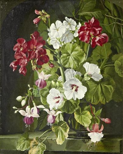 Gerald Cooper | Still Life of Geraniums (1952) | MutualArt