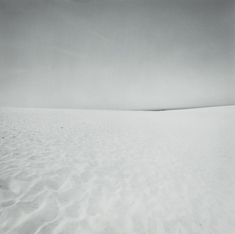 Harry Callahan | Cape Cod | MutualArt