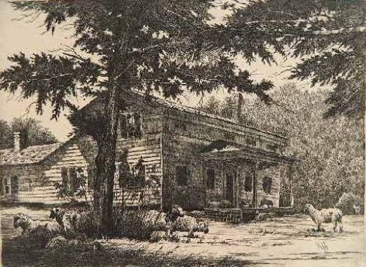 Keith Shaw Williams | Sheep in Yard | MutualArt