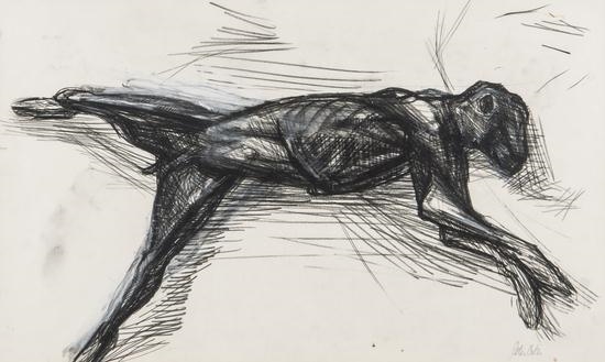Peter Coker | Study of a skinned hare (1956) | MutualArt
