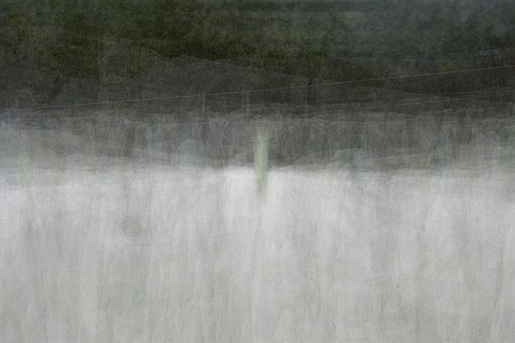 Graham Gosling | White Wash (2009) | MutualArt