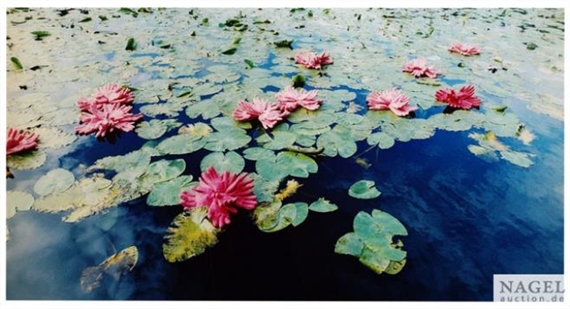 Ping Qiu | Margaretheninsel (2005) | MutualArt