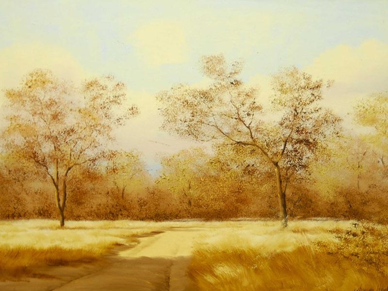 Thomas Hacking | Bushveld Road | MutualArt