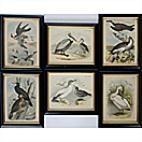 Jacob Studer | 1 Artworks at Auction | MutualArt