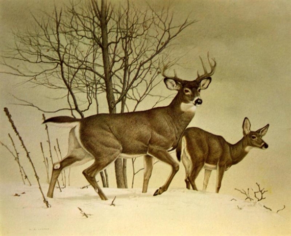 Loates, Glen | 12 Artworks | MutualArt