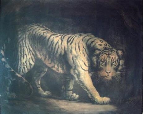 James Northcote | A TYGER | MutualArt