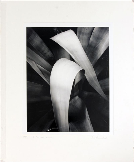 Ron Rosenstock | Performance at Auction | MutualArt