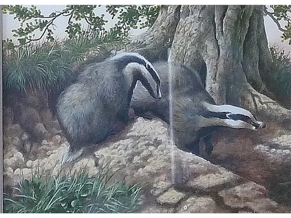Adrian Rigby | Badgers at Play | MutualArt