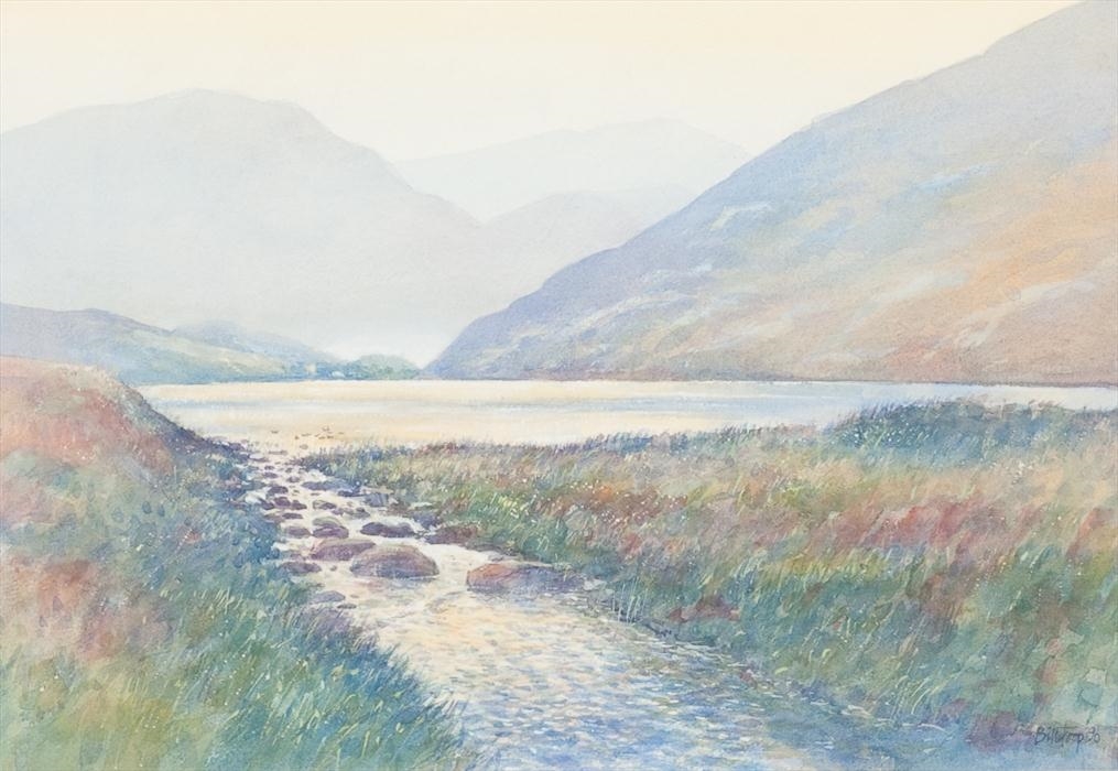 Bill Toop | NORTH WALES | MutualArt