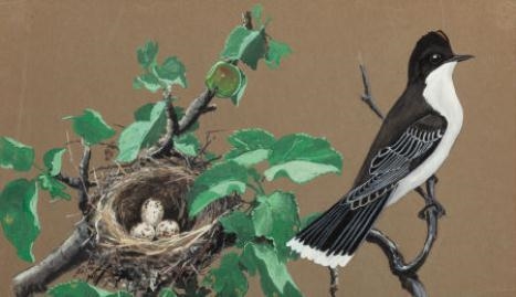 Jackson Miles Abbott | 1 Artworks at Auction | MutualArt