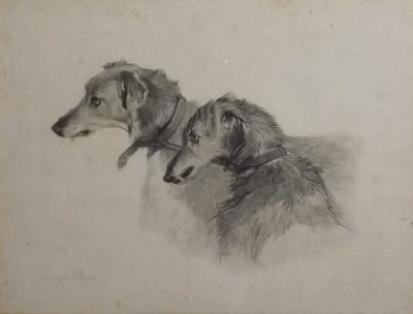 C. W. Wass | Biography