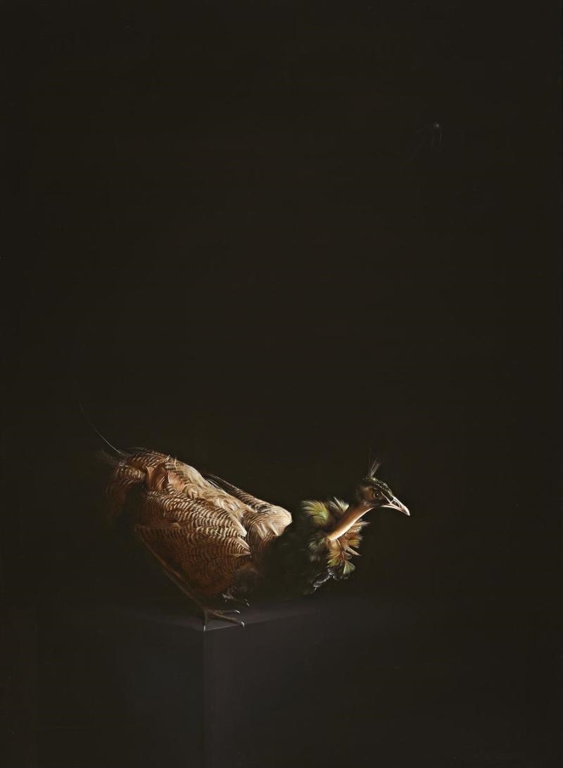 Sam Leach | Peahen (2008) | MutualArt