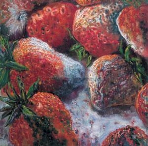 Zhang Xiaotao | CANKERED LANDSCAPE·COULD AND MIST (2005) | MutualArt