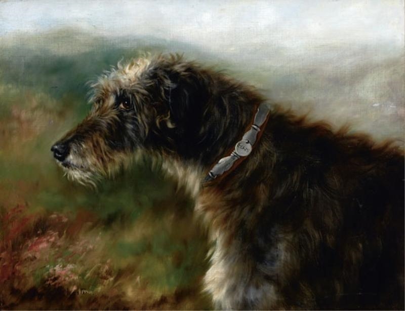 Adrienne Lester | Boris, irish wolfhound (Circa 1905) | MutualArt