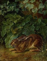 Jacob Philippe Hackert | Hare in the bushes (1803) | MutualArt