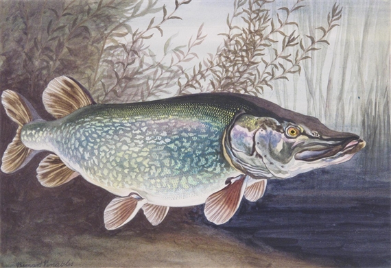 Bernard Venables | 12 Artworks | MutualArt