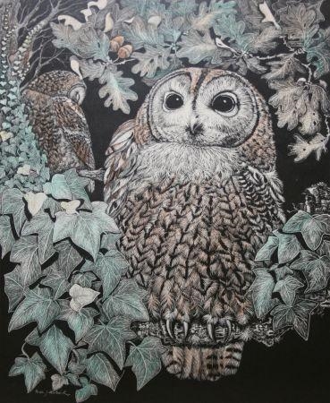Pamela Hardwick | 6 Artworks | MutualArt