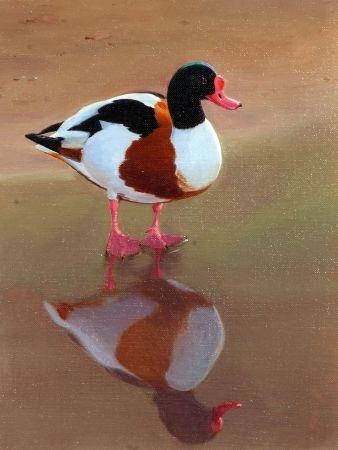 David Kerr | SHELDUCK | MutualArt