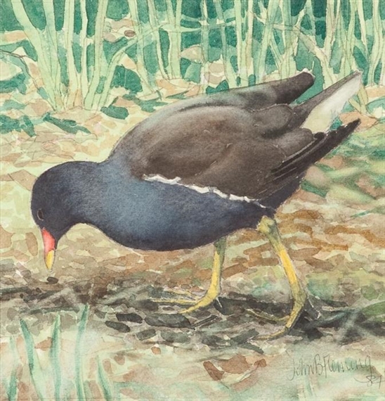 John Baxter Fleming | MOORHEN (1984) | MutualArt