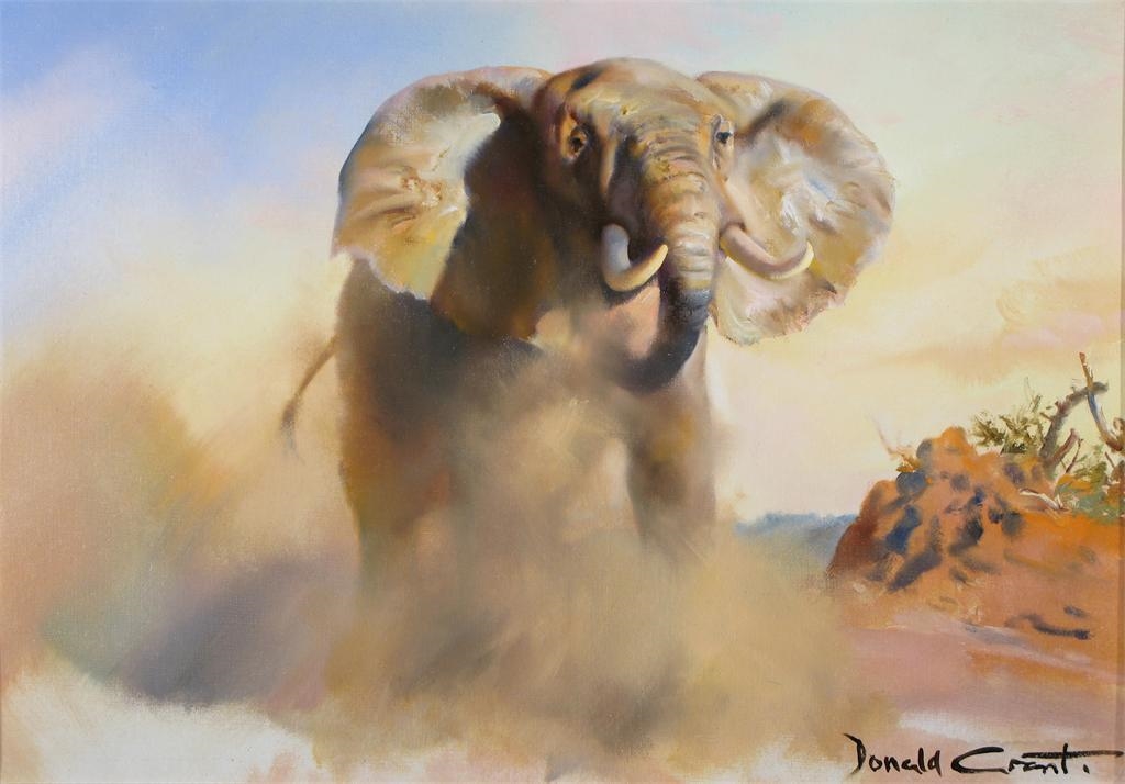 Charging Elephant Drawing