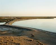 Alex Slade | Artist Overview | MutualArt