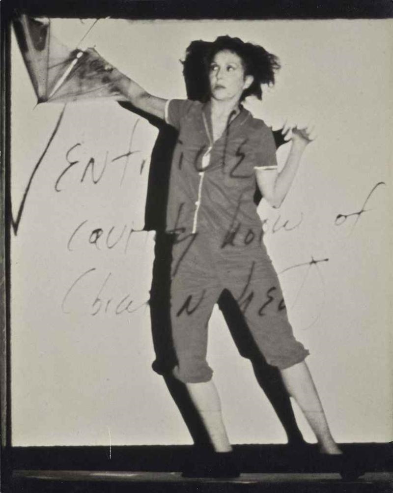 Carolee Schneemann | Eye Body: 36 Transformative Actions (1963) | MutualArt