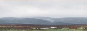 James Coad | View over a moorland stream | MutualArt
