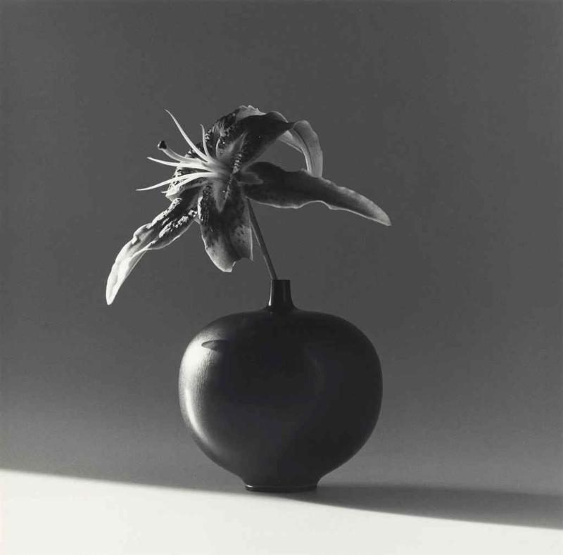 Robert Mapplethorpe | Flowers (1982) | MutualArt