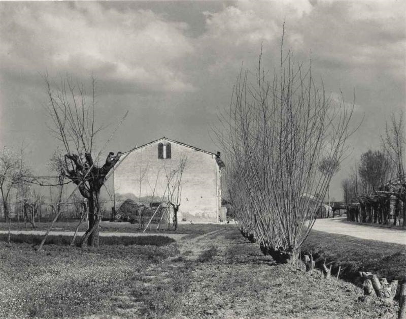 Paul Strand | Day Laborer, Luzzara (1953) | MutualArt