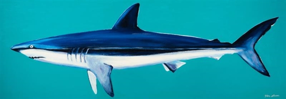 Ken Luce | Short Fin Mako | MutualArt
