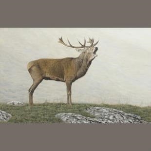 Simon Turvey | 29 Artworks at Auction | MutualArt