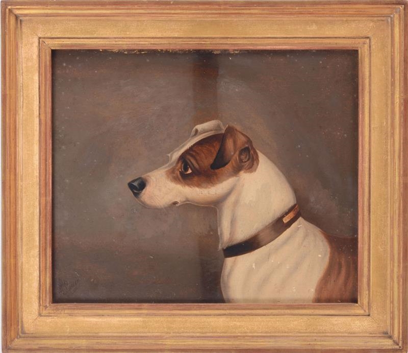 Edwin Loder | PORTRAIT OF A JACK RUSSELL | MutualArt