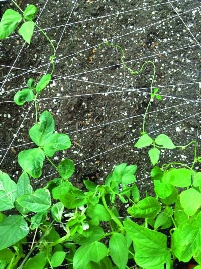 Nikki Pressley | Artist Overview | MutualArt