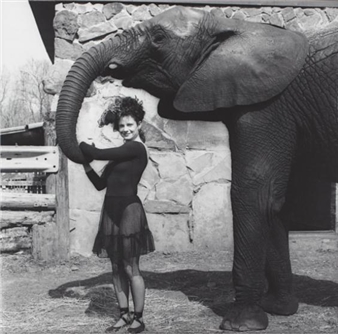 Robert Mapplethorpe | Lisa Lyon (1982) | MutualArt