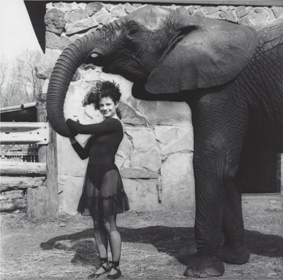 Robert Mapplethorpe | Lisa Lyon (1982) | MutualArt