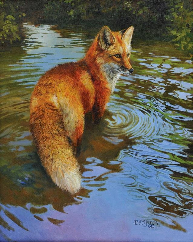 Bonnie Marris | Red Fox on Scott Pond | MutualArt