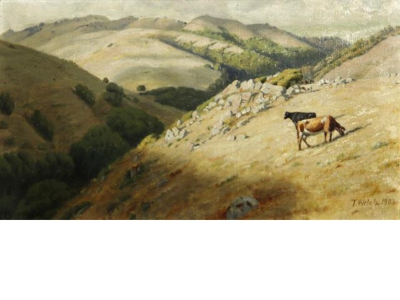 Thaddeus Welch | Cattle grazing in Marin Hills (1902) | MutualArt