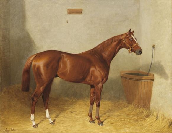 Emil Adam | Horse Semendria (1901) | MutualArt