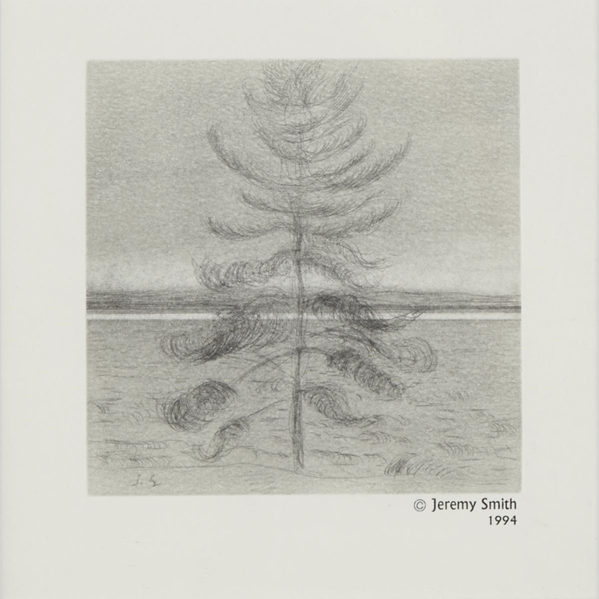 Jeremy Smith | PINE TREE | MutualArt