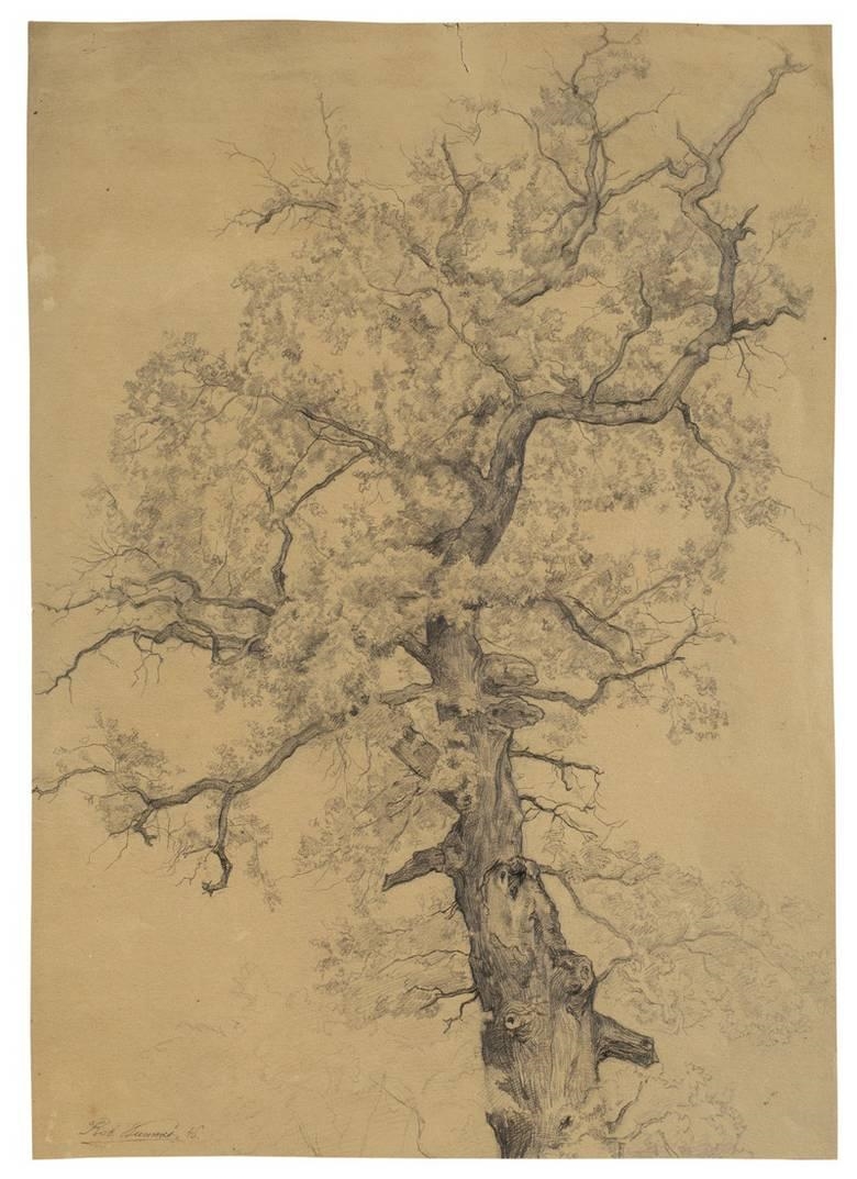 Robert Kummer | BAUMSTUDIE (1846) | MutualArt