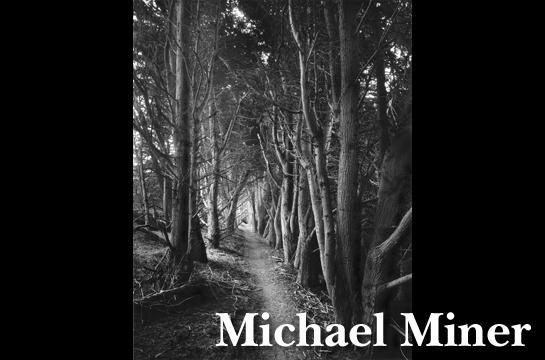 Michael Miner | Artist Overview | MutualArt