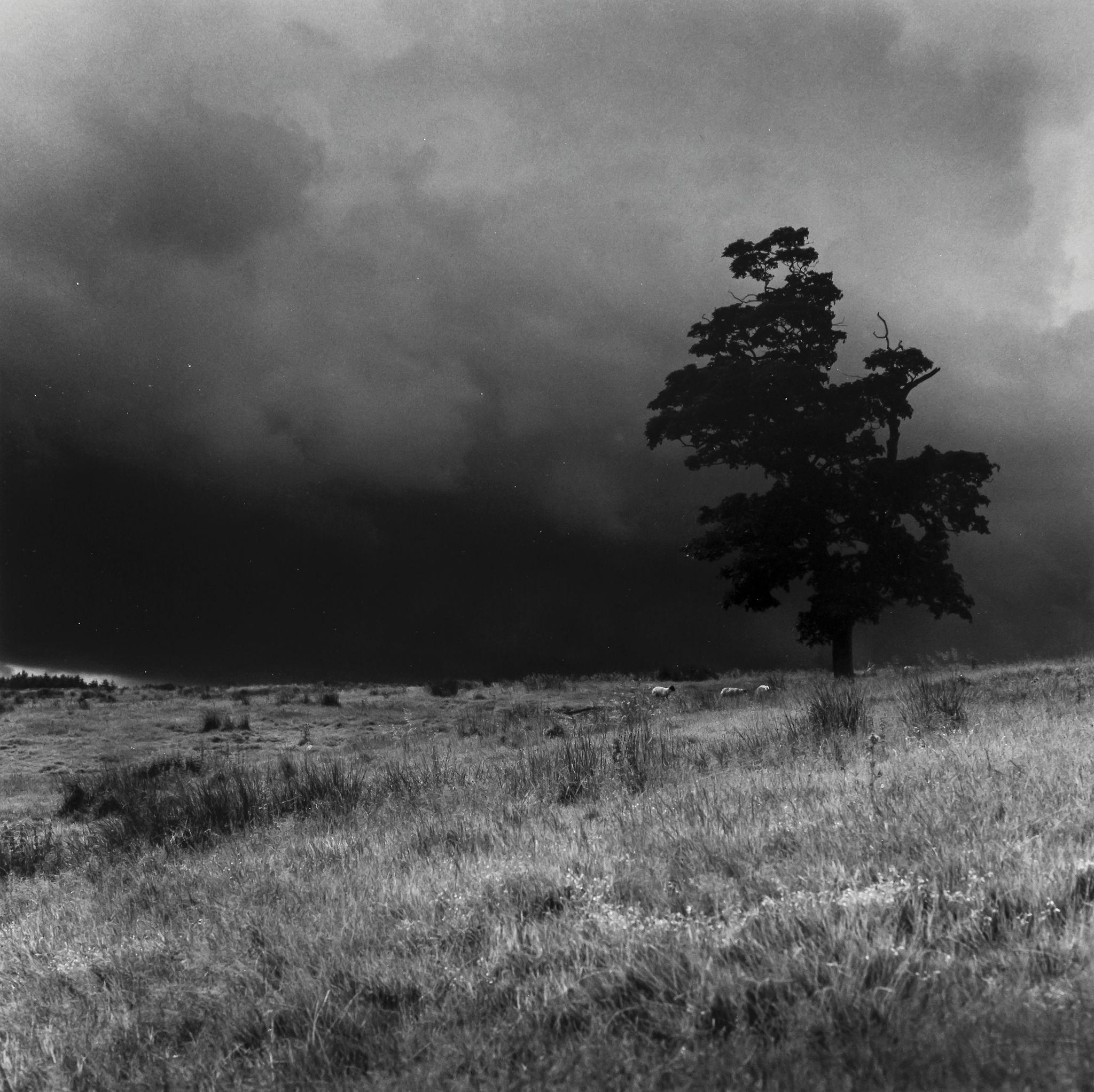 Fay Godwin | RURAL LANDSCAPE | MutualArt