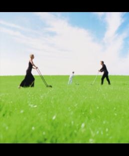 Alex de Groot | 1 Artworks at Auction | MutualArt